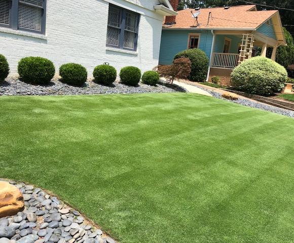 Emerald zoysia store