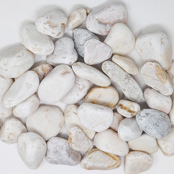Ivory Mexican Beach Pebbles | Order Online for Delivery