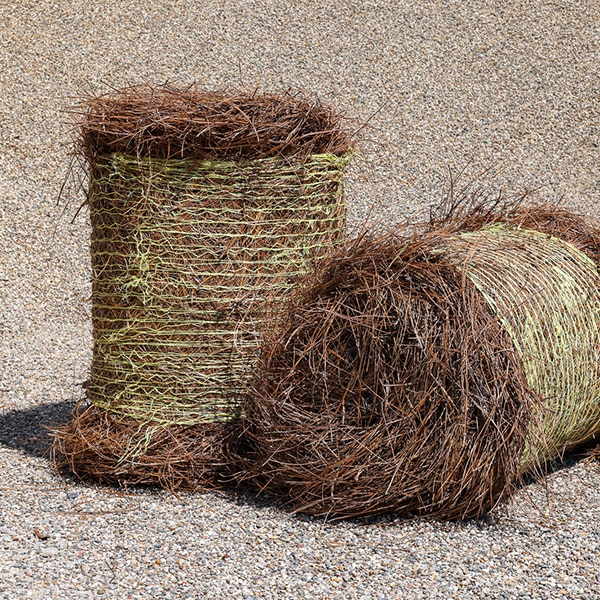 Pine Straw Rolls Long Needle near me | Shop Online for Delivery